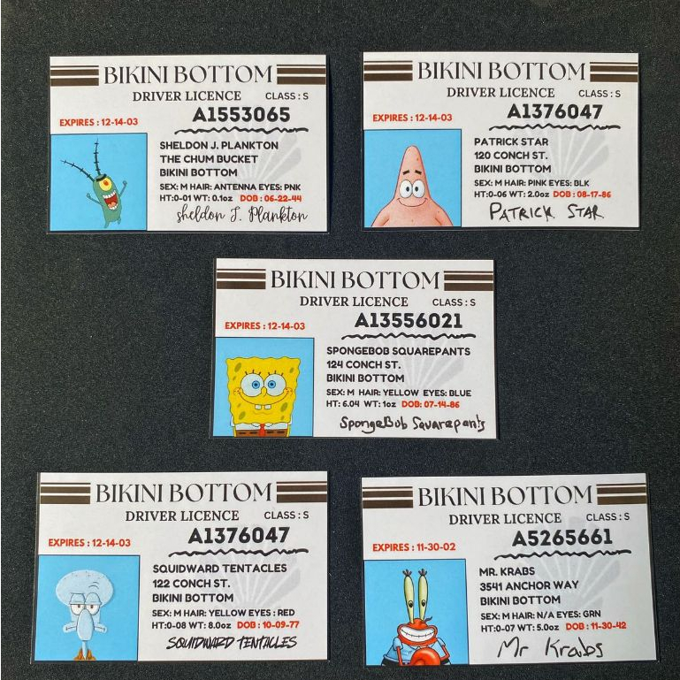 บิกินี่ด้านล่างขับรถ Licence Spongebob Fake Replica ID Card Prop ตลก ...