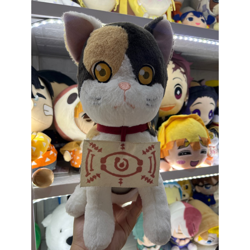 พร้อม chachamaru demon samayo cat | Shopee Thailand