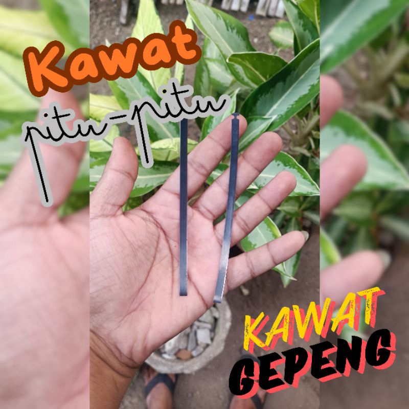 ลวดแบน / ลวด puu ptu / puu-pitu sopeng | Shopee Thailand