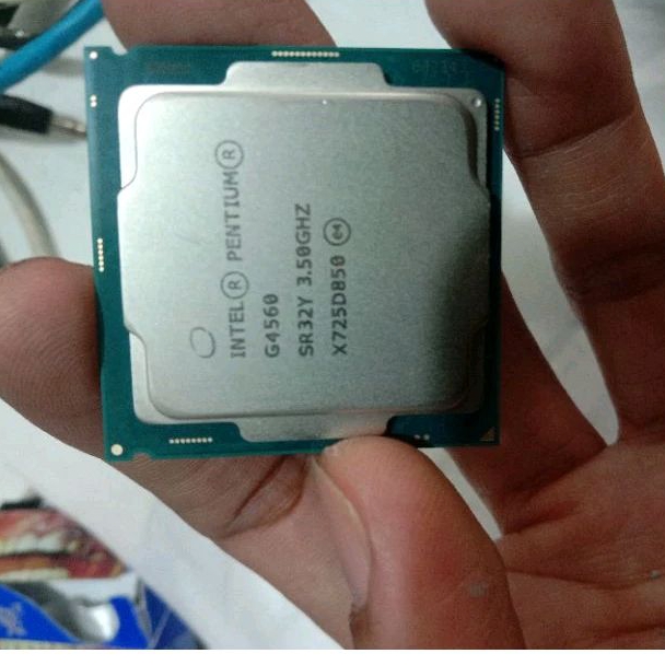 Pentium G4560 SOCKET INTEL PROCETOR 1151 | Shopee Thailand