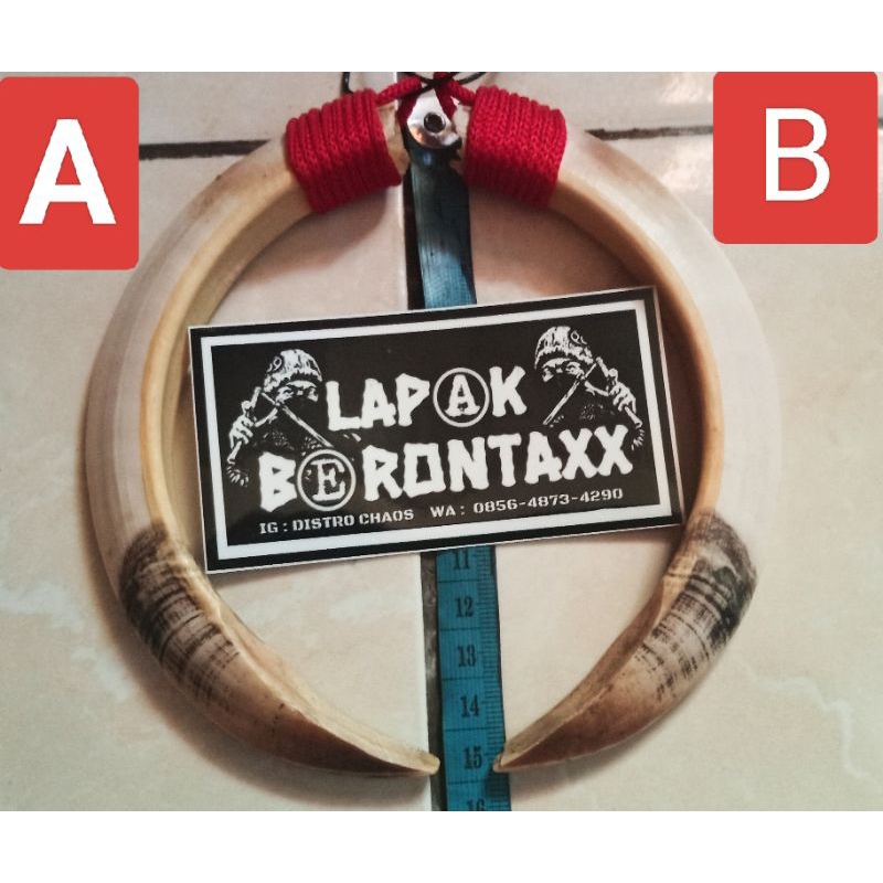 สร้อยคอ Tarbi/สร้อยคอ Ethnic (แป้นหมูเดิม) Uk 15 cm | Shopee Thailand