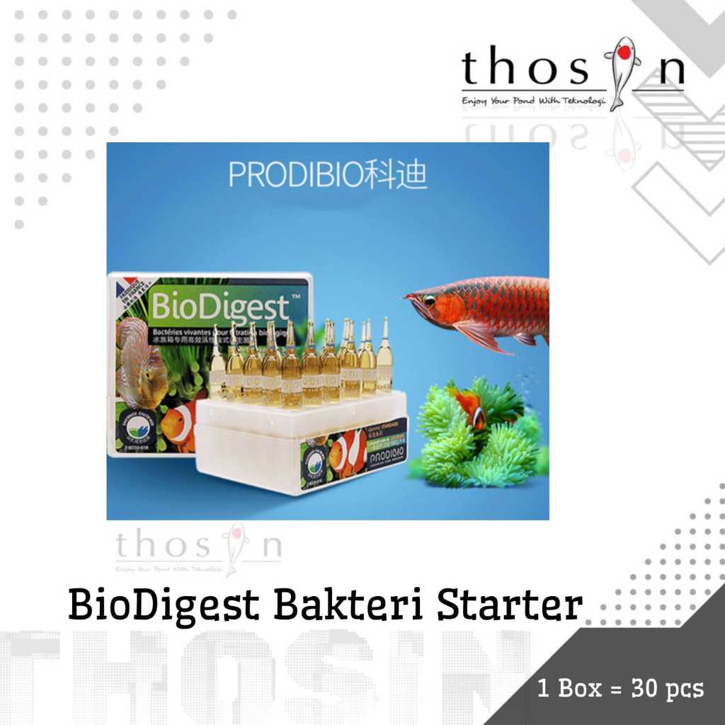 Prodibio BioDigest 1 กล่อง 30 VIAL Bio Digest Starter Bacteria | Shopee ...