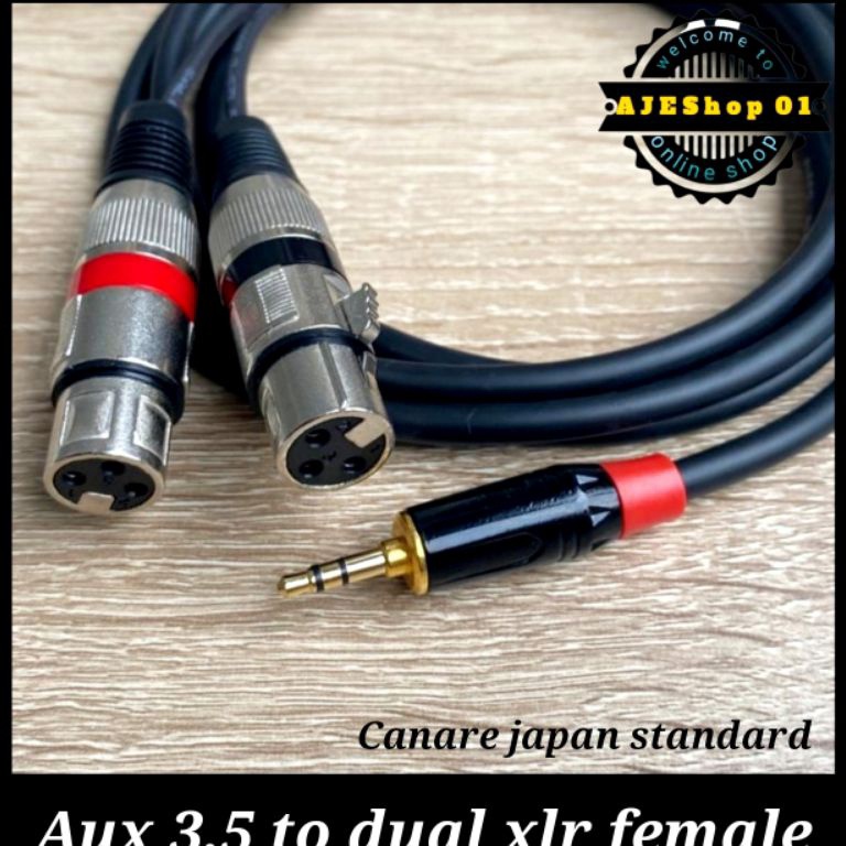 ญี่ปุ่น 35 Mini Stereo To Dual XLR Female Canare Aux Cable CODE T1X7 | Shopee Thailand