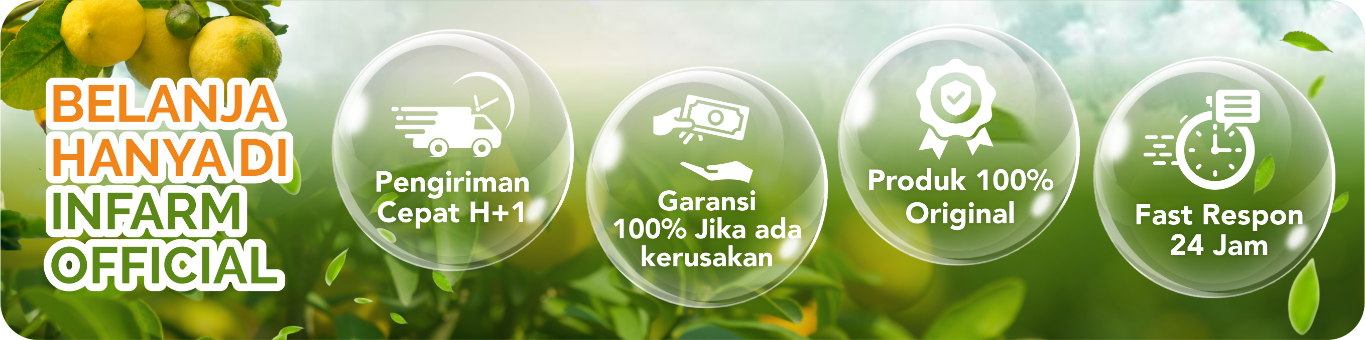 Infarm - Growing Tower Verticulture แนวตั้งดินสวน Paralon 50 ซม. วัสดุ ...