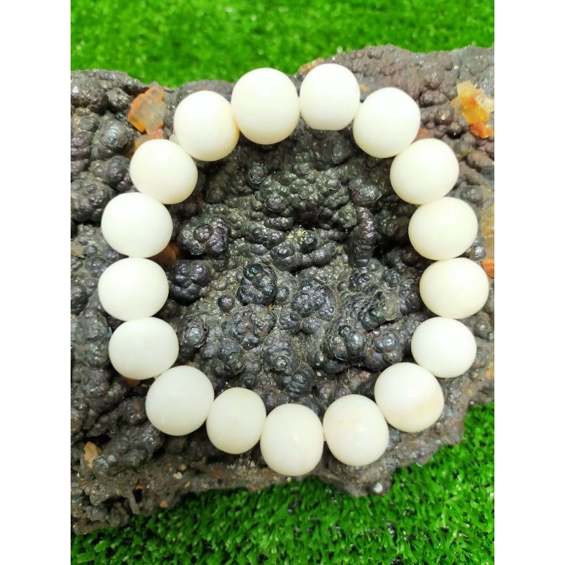 Dragon Palace Relic Fossil สร ้ อยข ้ อมือ Energy holy relics สร ้ อยข ...