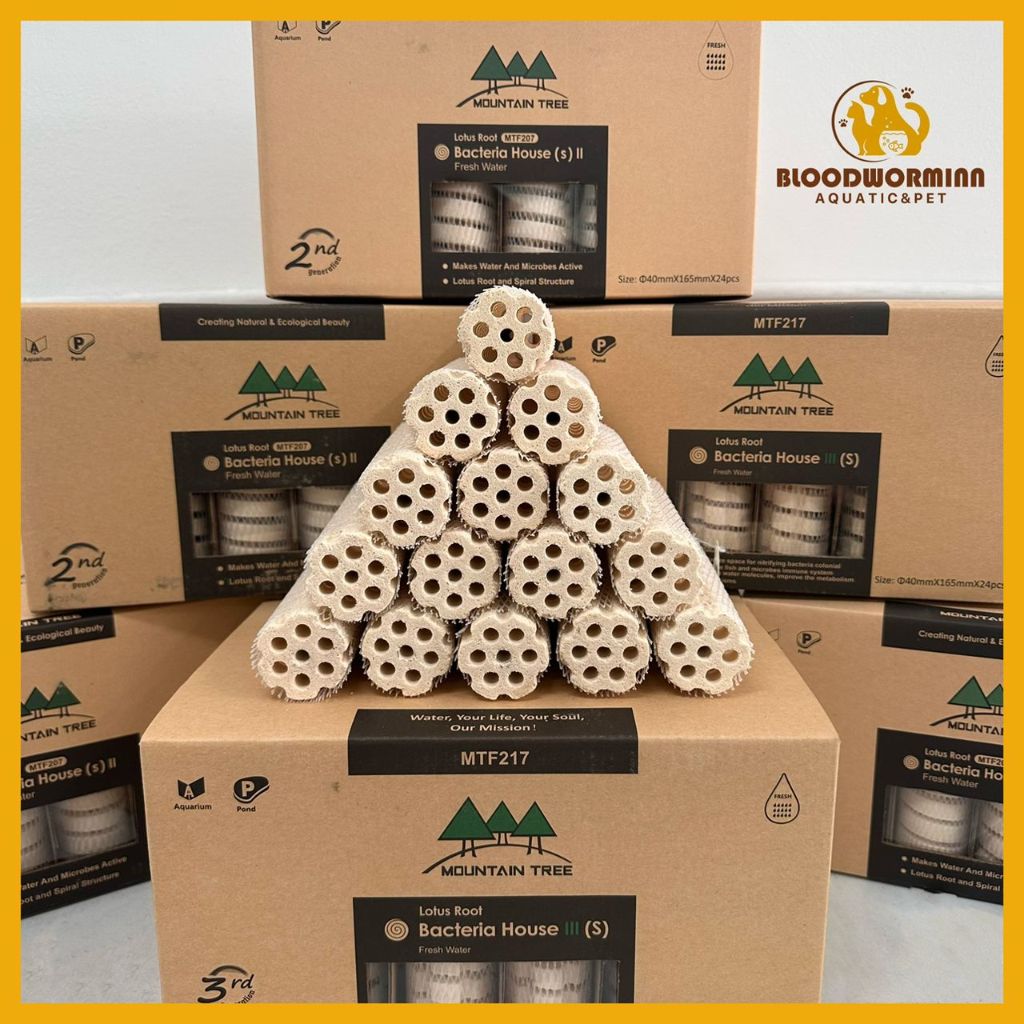 Mountain Tree Lotus Root Bacteria House Gen lll(3) [SIZE S] --PER ROLL ...