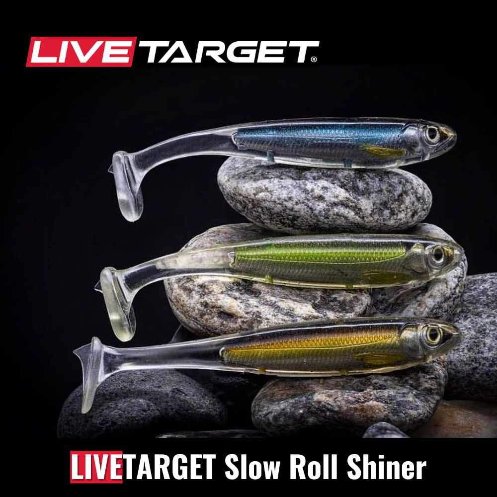 Live Target Slow Roll Shiner 4 ชิ้นในแพ็คเดียว Swimbait | Shopee Thailand