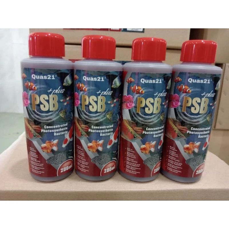 Psb 200ml-แบคทีเรียสังเคราะห์แสง (6Botol) | Shopee Thailand
