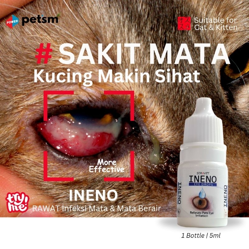 Mata Watery Cat Eye Medicine,Cat Eye Drop - 5ml | Shopee Thailand