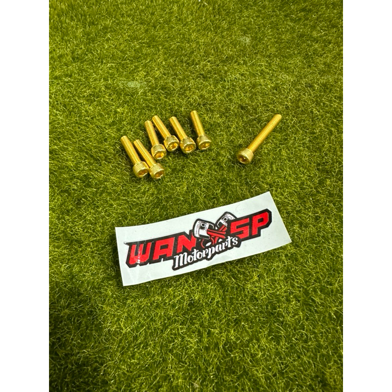 Suzuki v100 skru elanki cvt สีทอง | Shopee Thailand