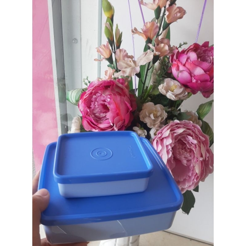 ใหม่ UNUSED Tupperware Large Square Away สีฟ้า | Shopee Thailand