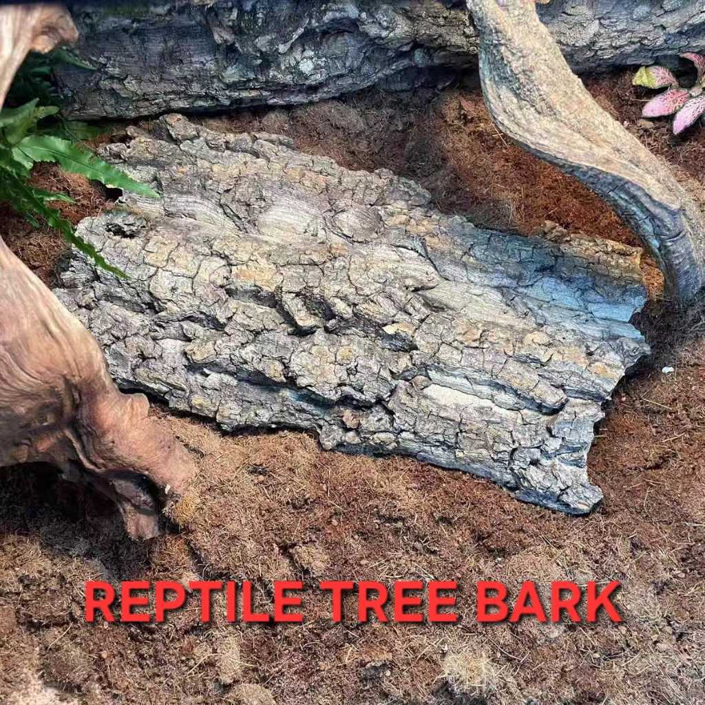 สัตว์เลื้อยคลาน Bark ผ้าปูที่นอนธรรมชาติ Cork Habitat ต้นไม้ Bark ...