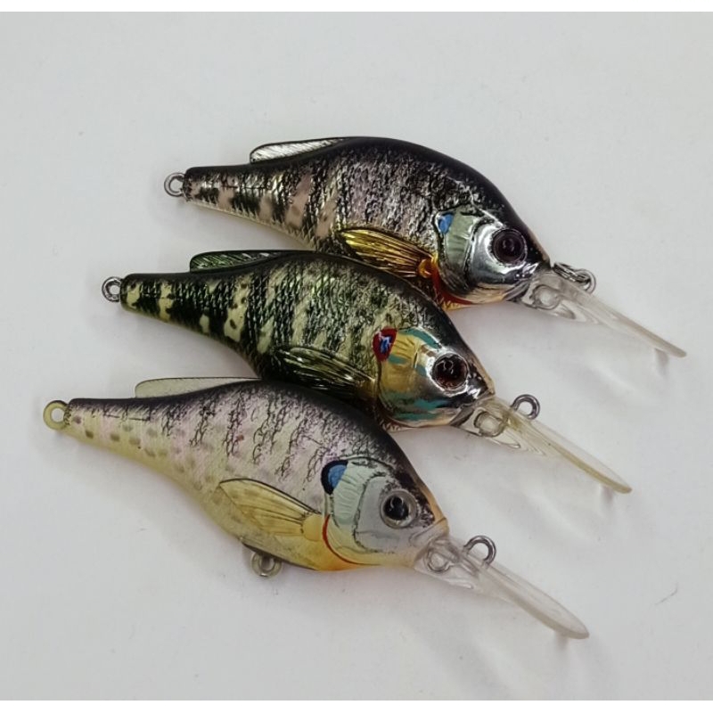 (MAZ03) Livetarget SUNFISH BLUEGILL 55F DEEP CRANK ใช้แล้ว | Shopee ...