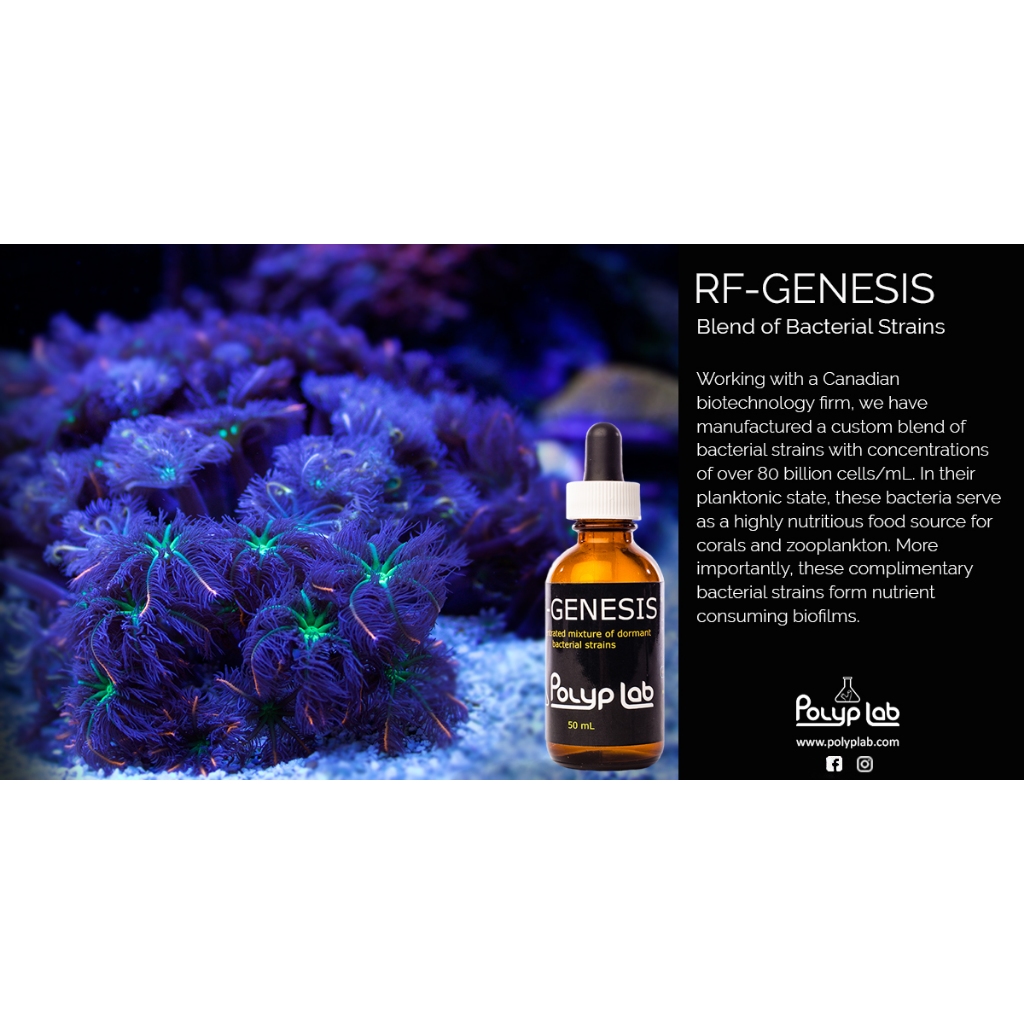 Polyplab polyp lab genesis น้ําเค็ม marine reef พิพิธภัณฑ์สัตว์น้ํา ...