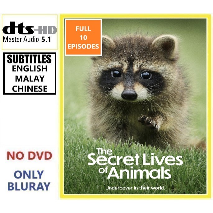 T2D109 The Secret Lives Of Animals (2024) [10 EPISODES] (2 แผ่น) เอกสาร ...