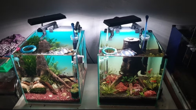 KEFEI89 X Neo-Helios Aquarium LED S3 Pro / S3 Pro + 10000k Vivid Colour ...