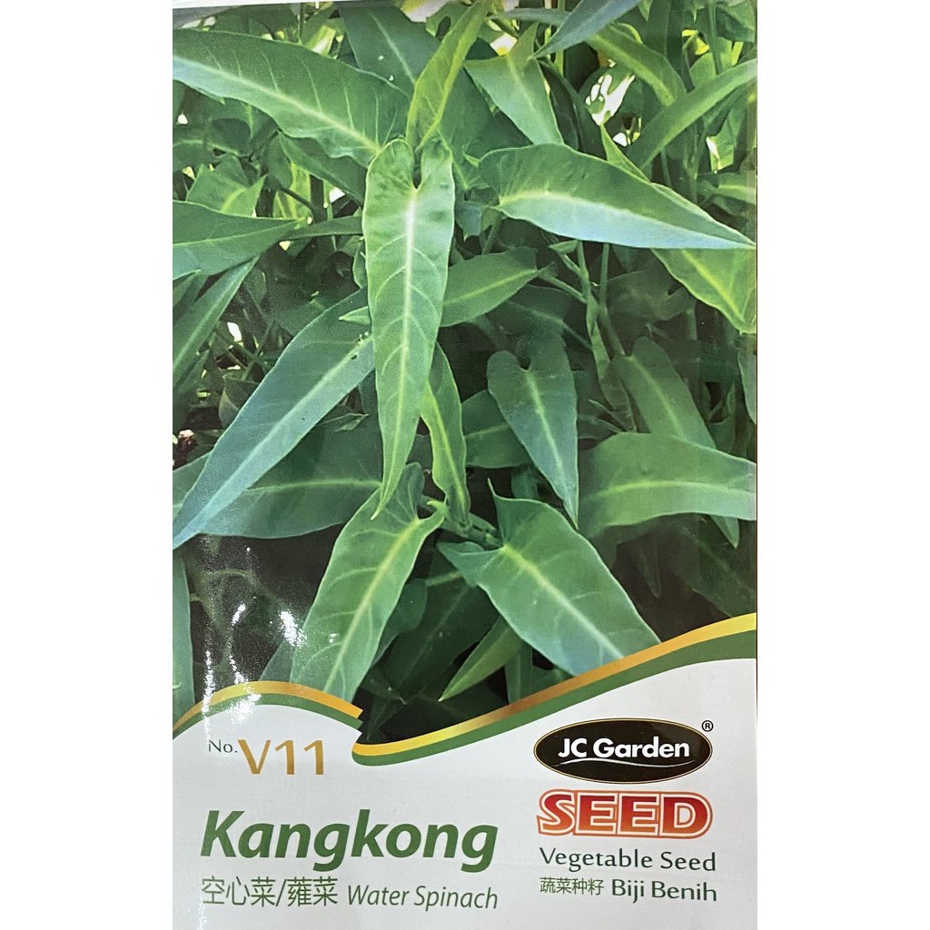 ผักโขมน้ำ KangKong-เมล็ดผัก YULH | Shopee Thailand