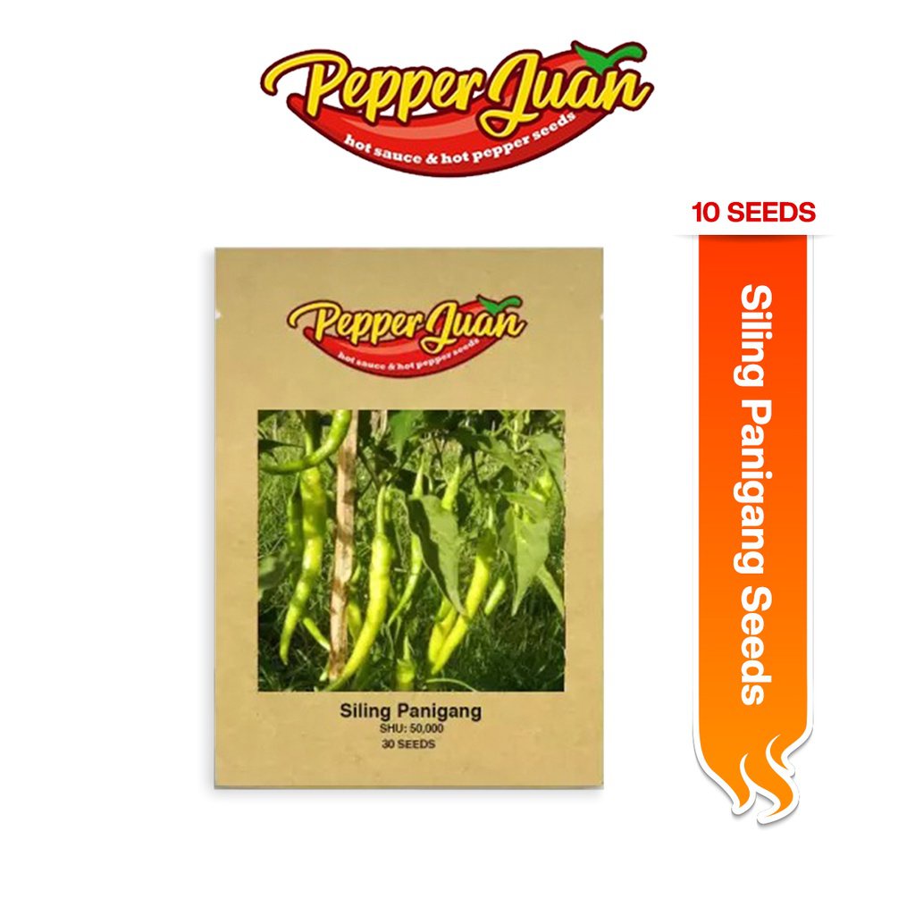 Siling Panigang (30เมล็ด) RTWH | Shopee Thailand