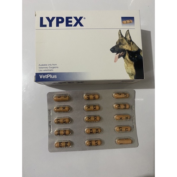 LYPEX ไลเป็กซ์ เสริมการย่อยอาหาร แบ่งขาย 29 แคปซูล(พร้อมกล่อง) | Shopee ...
