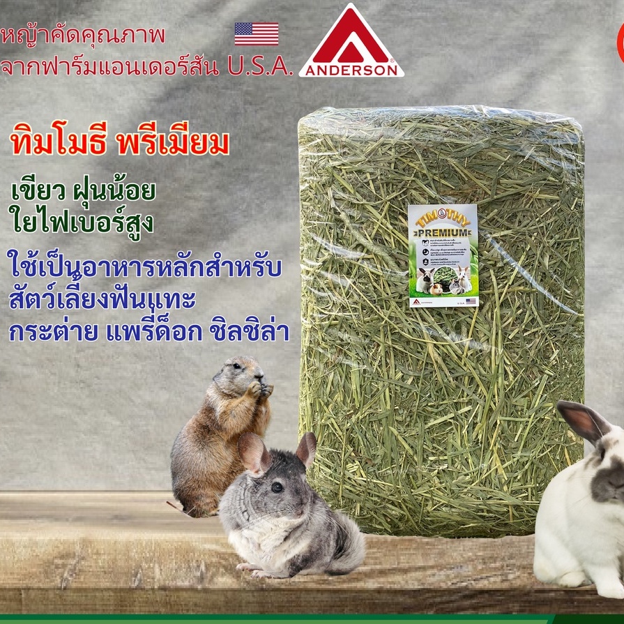 ล็อตใหม่ หญ้าทิโมธี พรีเมี่ยม Timothy premium สัตว์เลี้ยงฟันแทะ หญ้า ...