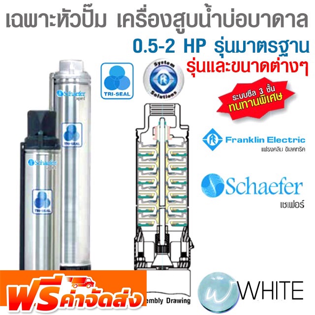 เฉพาะหัวปั๊ม เครื่องสูบน้ำสำหรับบ่อบาดาล 0.5-2 HP รุ่นมาตรฐาน Standard ...