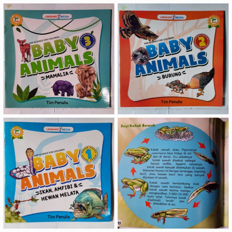 Animal World Series - สัตว ์ เด ็ ก ( สัตว ์ เด ็ ก ) - ซีรีส ์ วิทยาศา ...