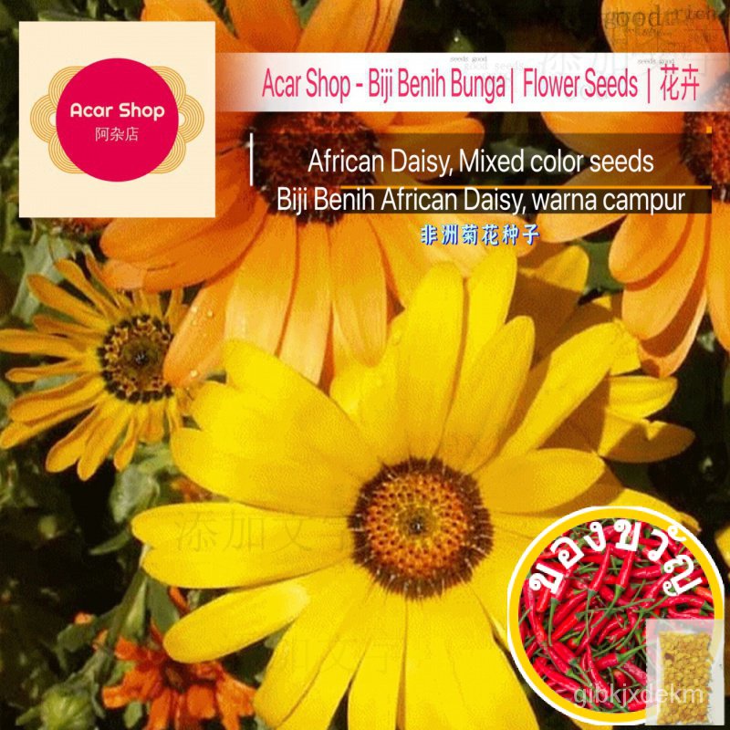 หน้าแรก> ข่าว> Content Home> News> Content Home> Content Home> News ...