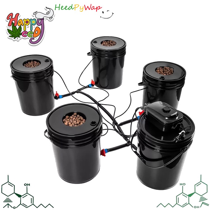 ชุดปลูกครบเซ็ท Hydroponic Grow System Deep Water Culture (DWC) Complete ...