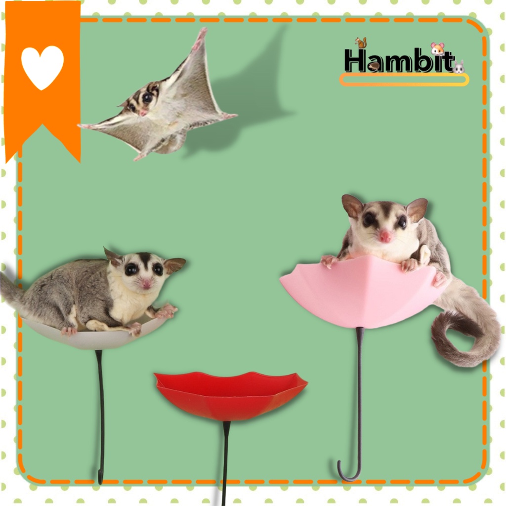 Hambit. ร่มชูการ์ไกรเดอร์ ร่มมินิตกแต่ง | Shopee Thailand