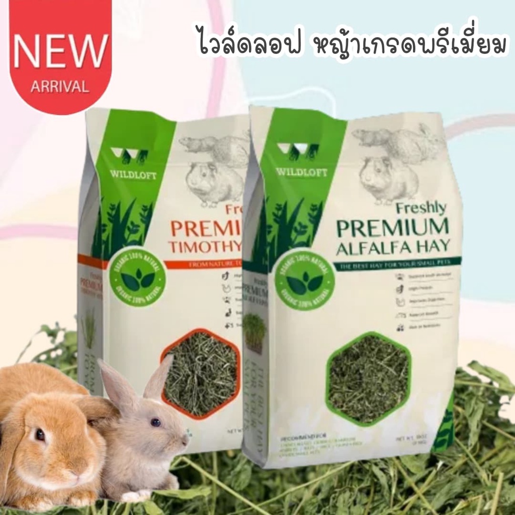 CatHoliday หญ้าอัลฟาฟ่า หญ้าทิโมธี Wildloft เกรดพรีเมียม ขนาด 510 กรัม ...