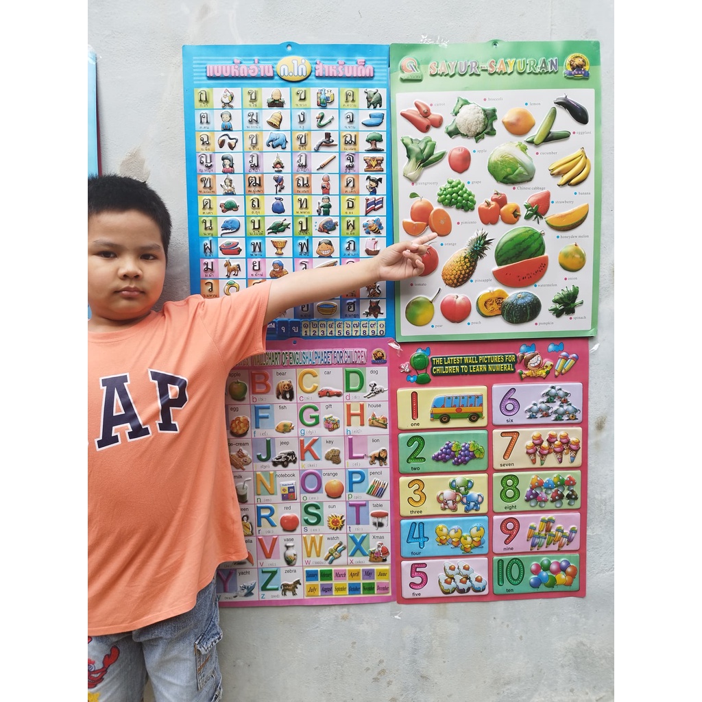 ขายถูก เซ็ทรู้ใจ 4 ลาย 95 บ. โปสเตอร์ ก ไก่ ABC 1-10 ผัก&ผลไม้.(มีของแถม) | Shopee Thailand