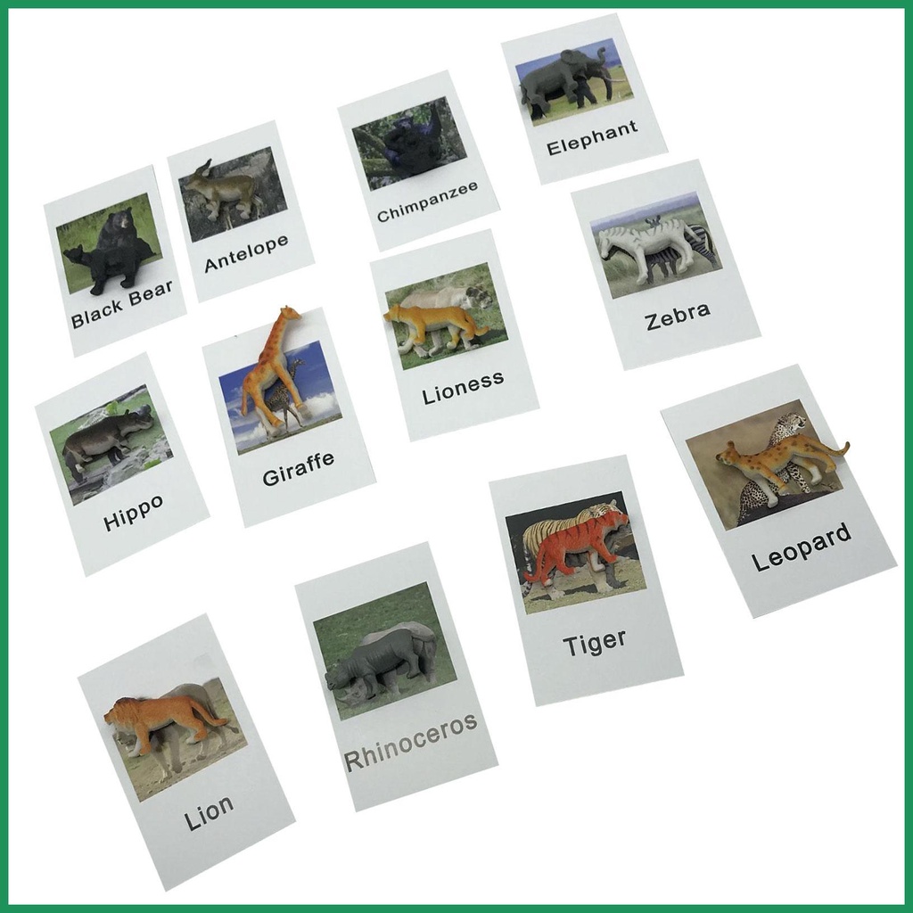 การ์ดจับคู่สัตว์ Montessori Marine Zoo Animals Figure Match Montessori ...