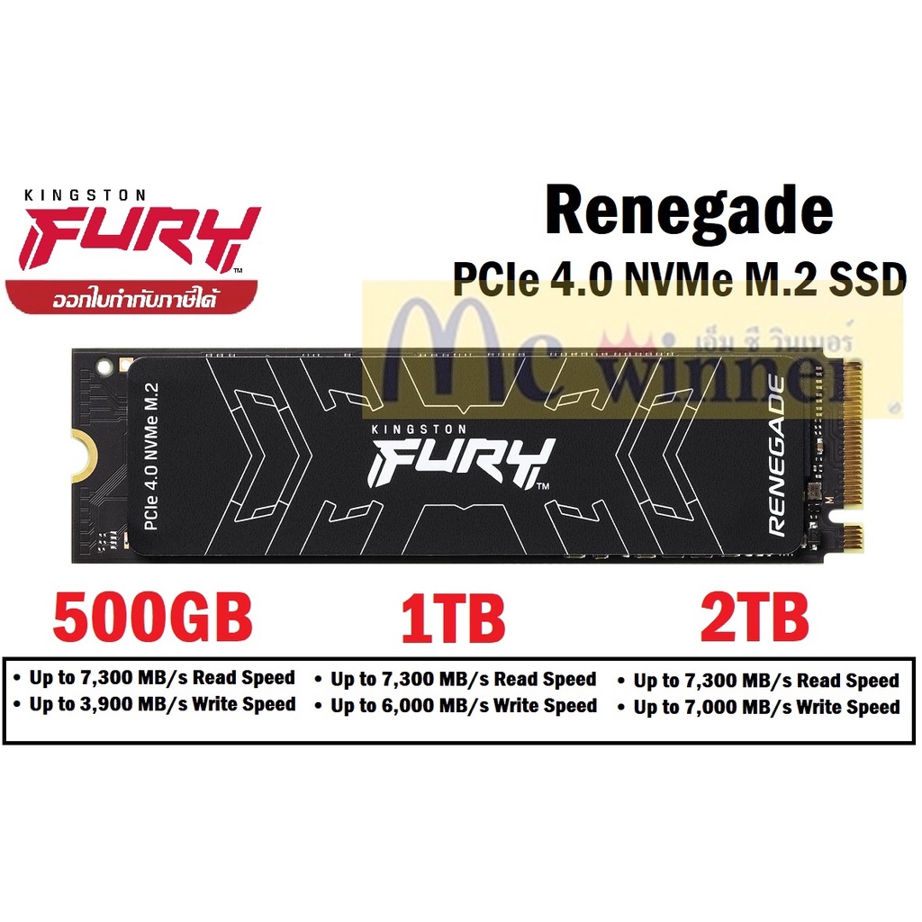 500GB | 1TB | 2TB SSD (เอสเอสดี) KINGSTON FURY RENEGADE - PCIe 4/NVMe M ...
