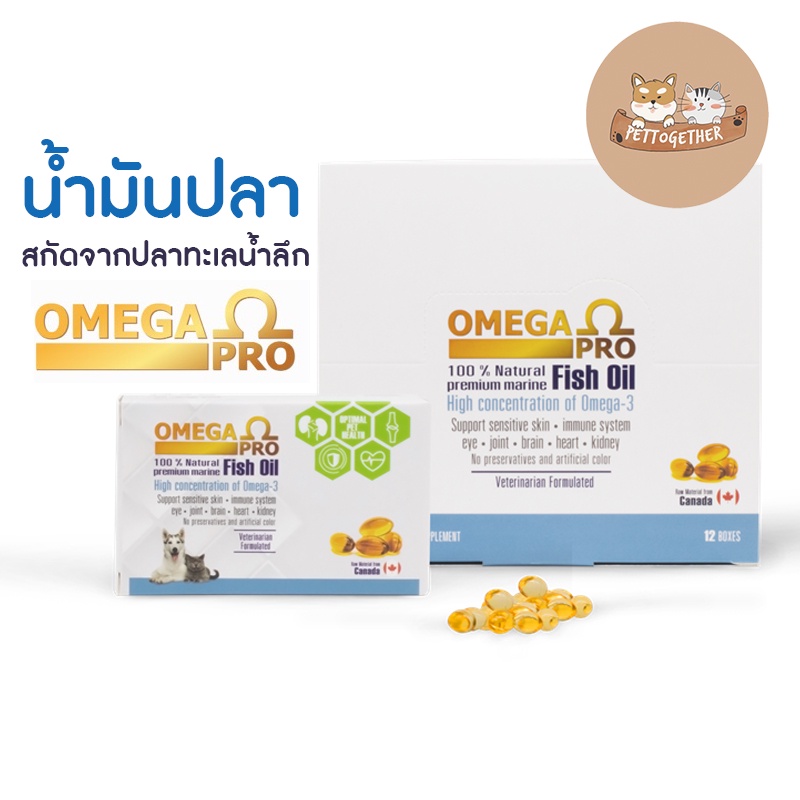 ใหม่ Omega Pro Fish Oil น้ำมันปลา อาหารเสริม บำรุงขน สุนัข หมา แมว โอเ ...