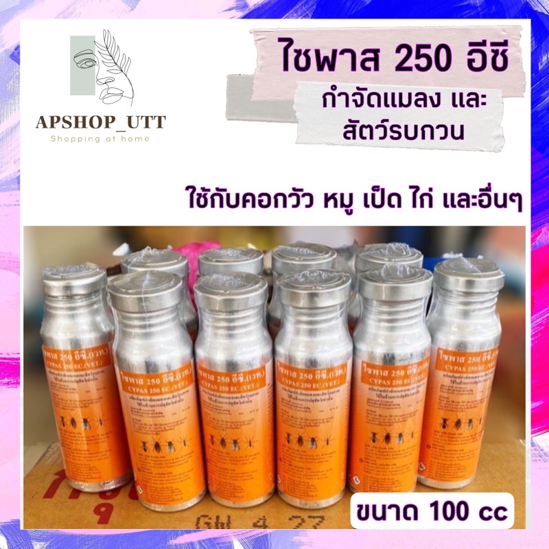 👍เก็บเงินปลายทาง👌 Cypas ไซพาส 250 อีซี ใช้พ่นยุง เห็บ หมัด ไร ในคอกหมู ...