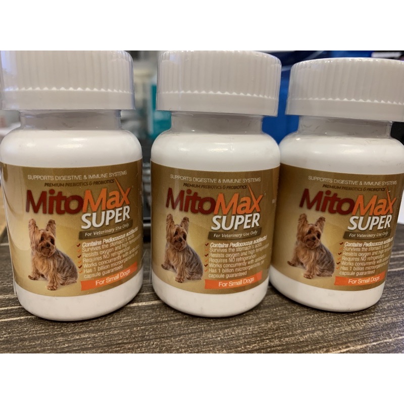 พร้อมส่ง!! mitomax small dog กระปุกละ 30 เม็ด | Shopee Thailand