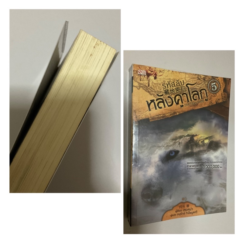 [หนังสือมือสอง]รหัสลับหลังคาโลก The Tibet Code นวนิยายจีนแปล นวนิยายจีน เหอหม่า หนังสือมือ2 ...