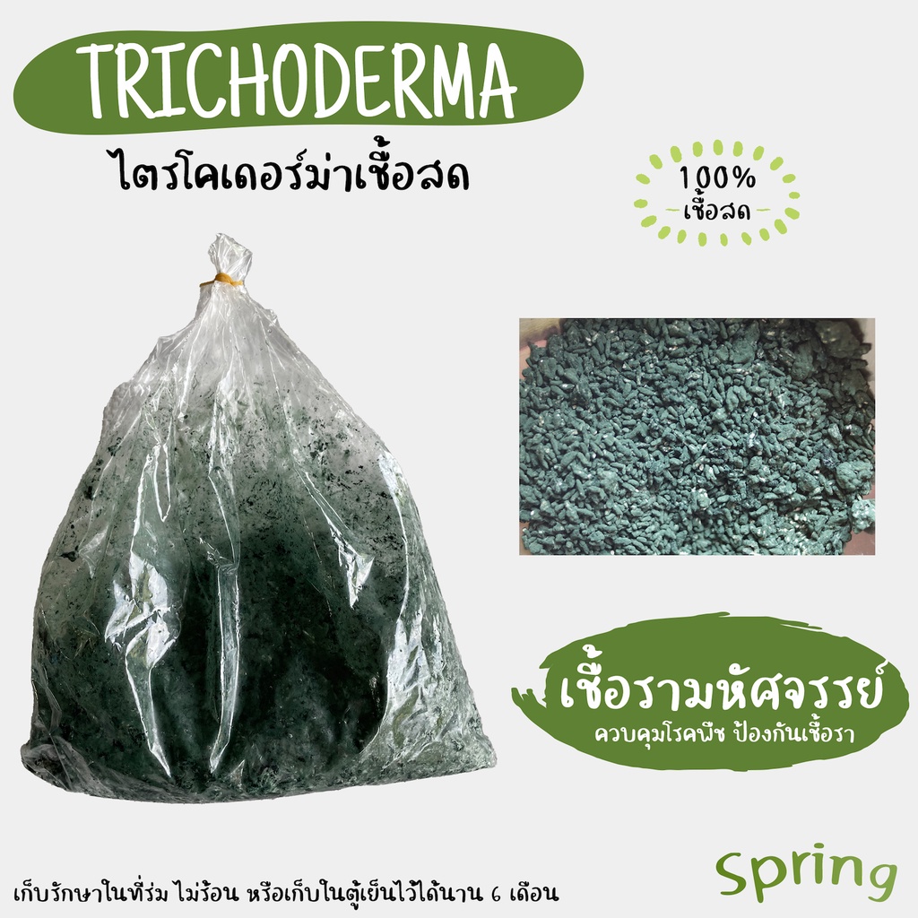 เชื้อราไตรโคเดอร์มา ชนิดเชื้อสด พร้อมใช้งานได้ทันที Trichoderma สินค้า ...