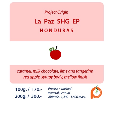Honduras La Paz SHG (Project Origin) 100g / 200g. | Shopee Thailand