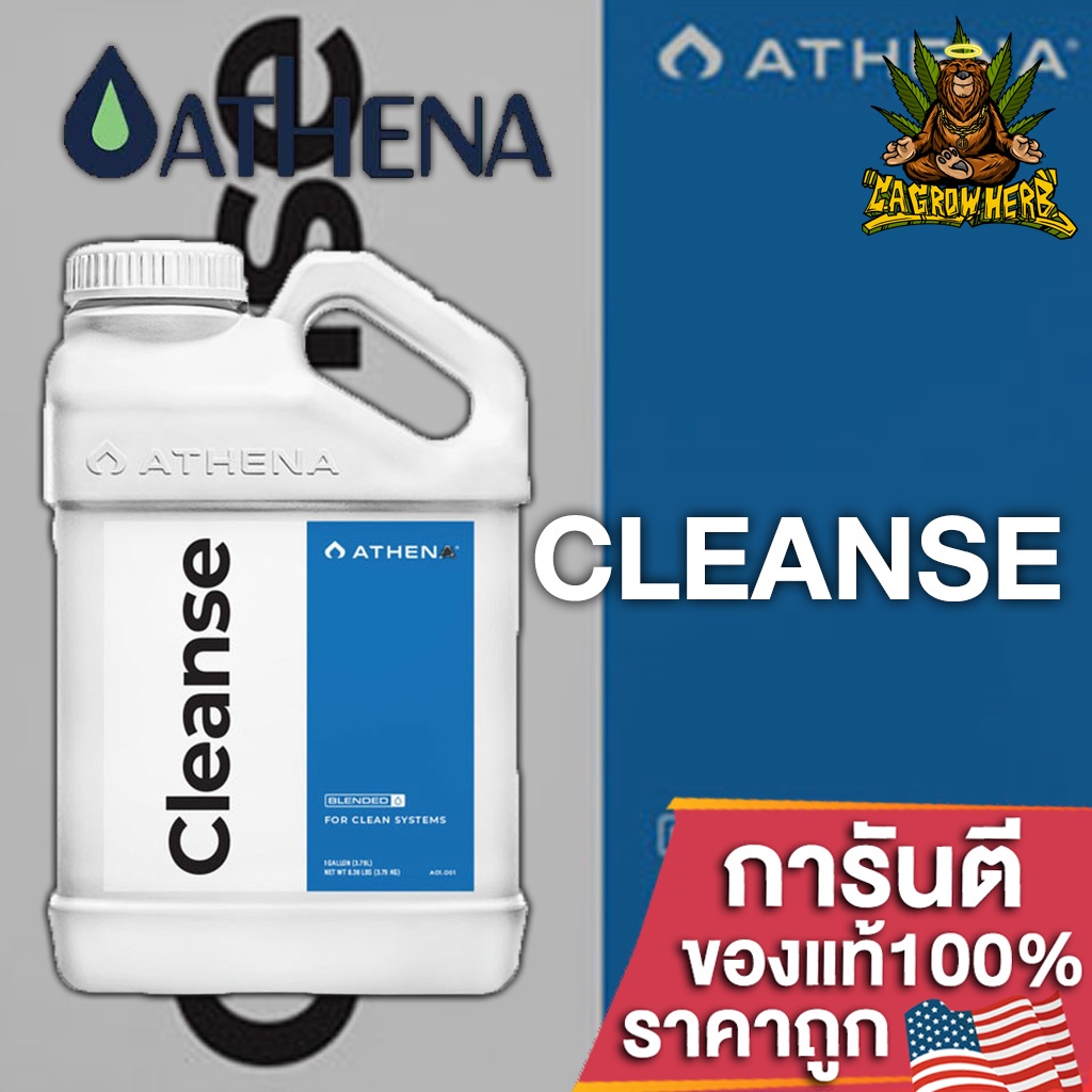 Athena Cleanse เพิ่มประสิทธิภาพรากให้ดีขึ้น ล้างสารเคมีตกค้างในวัสดุ ...