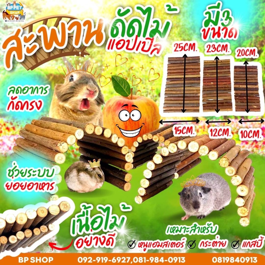 (Ratima) สะพานโค้งไม้ สะพานไม้แอปเปิ้ล สะพานดัด ของเล่นไม้ สำหรับสัตว์ ...