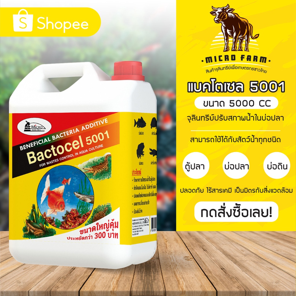 Bactocel 5001 แบคโตเซล 5001 5000 ml. 1 แกลลอน จุลินทรีย์รักษาสภาพน้ำใน ...