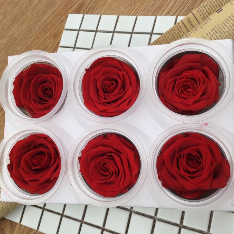 (6 ชิ้น/กล่อง) PRESERVED Real Rose ดอกกุหลาบบันกา คุณภาพดี ติดทนนาน 1 ...