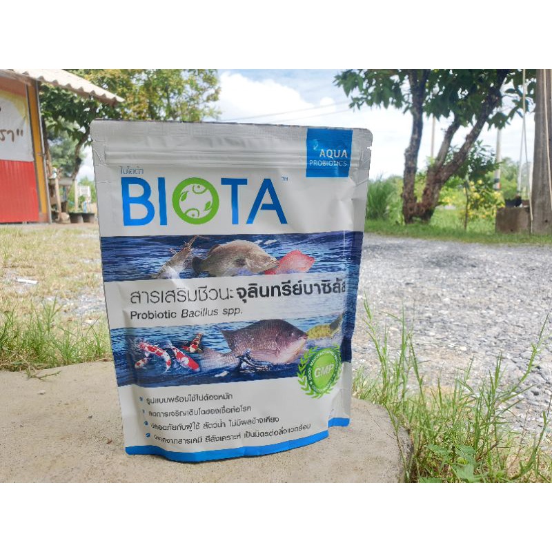 BIOTA จุลินทรีย์จบทุกปัญหาน้ำเขียว ขี้แดดเยอะ ลดแอมโมเนียไนไตรท์พร้อม ...