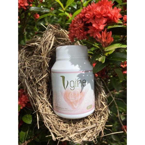 วีจิเน่ ( Vgine ) | Shopee Thailand