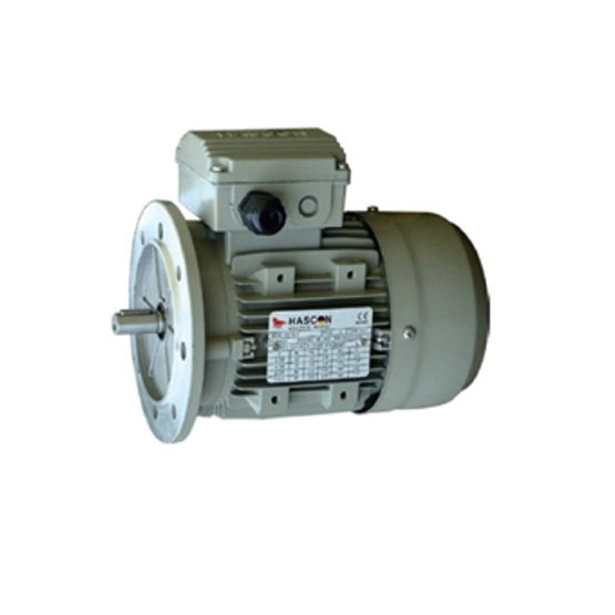 AC MOTOR 0.55KW มอเตอร์ไฟฟ้ากระแสสลับ | Shopee Thailand