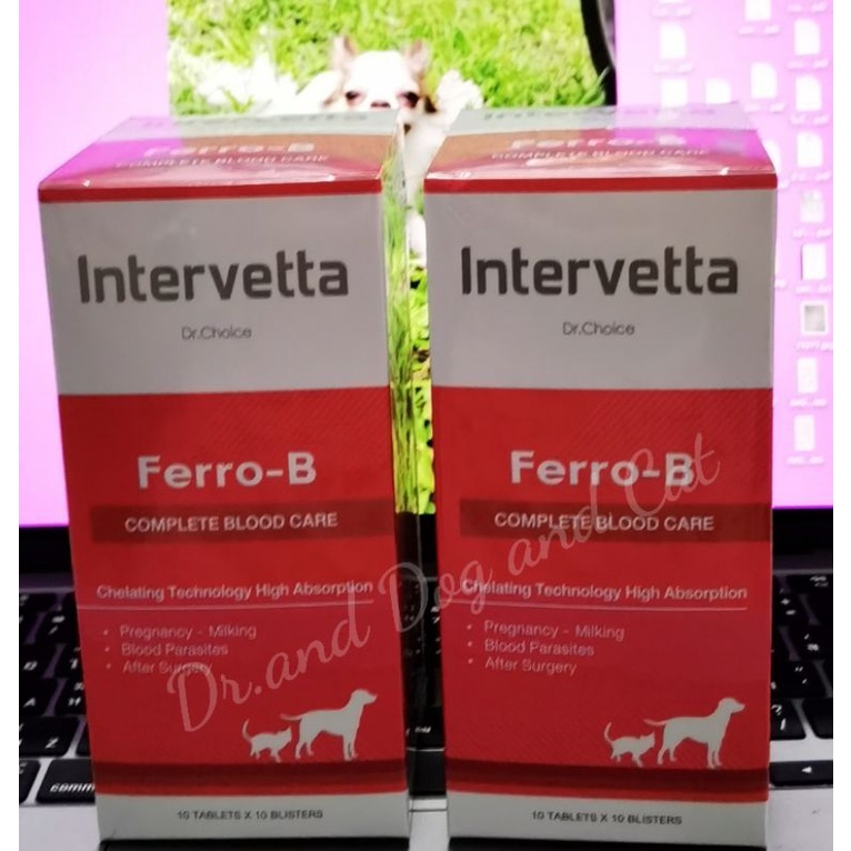 Dr.Choice Ferro B (Intervetta)วิตามินบำรุงเลือด ขนาด1แผง(10เม็ด) และ1กล่อง(100เม็ด) | Shopee ...
