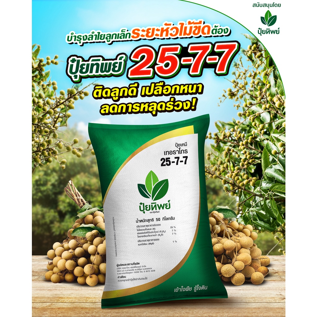 ปุ๋ยทิพย์ 25-7-7+1MgO 1 kg เร่งต้น เร่งใบเขียว | Shopee Thailand