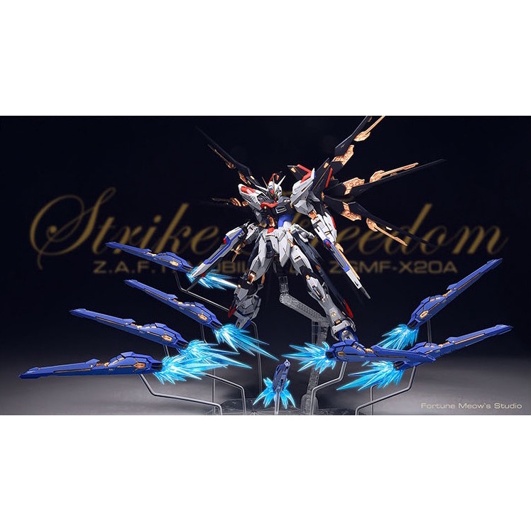 MG Gundam Strike Freedom Resin Convension Fortune Meow Studio | Shopee ...