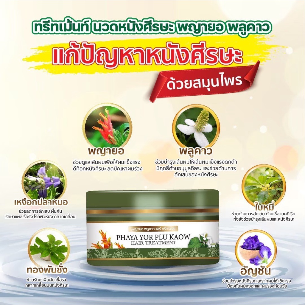 พญายอพลูคาว Anyaa อัญญา ครีมนวดผม ทรีทเม้นท์ ปัญหาหนังศีรษะและเส้นผม ...